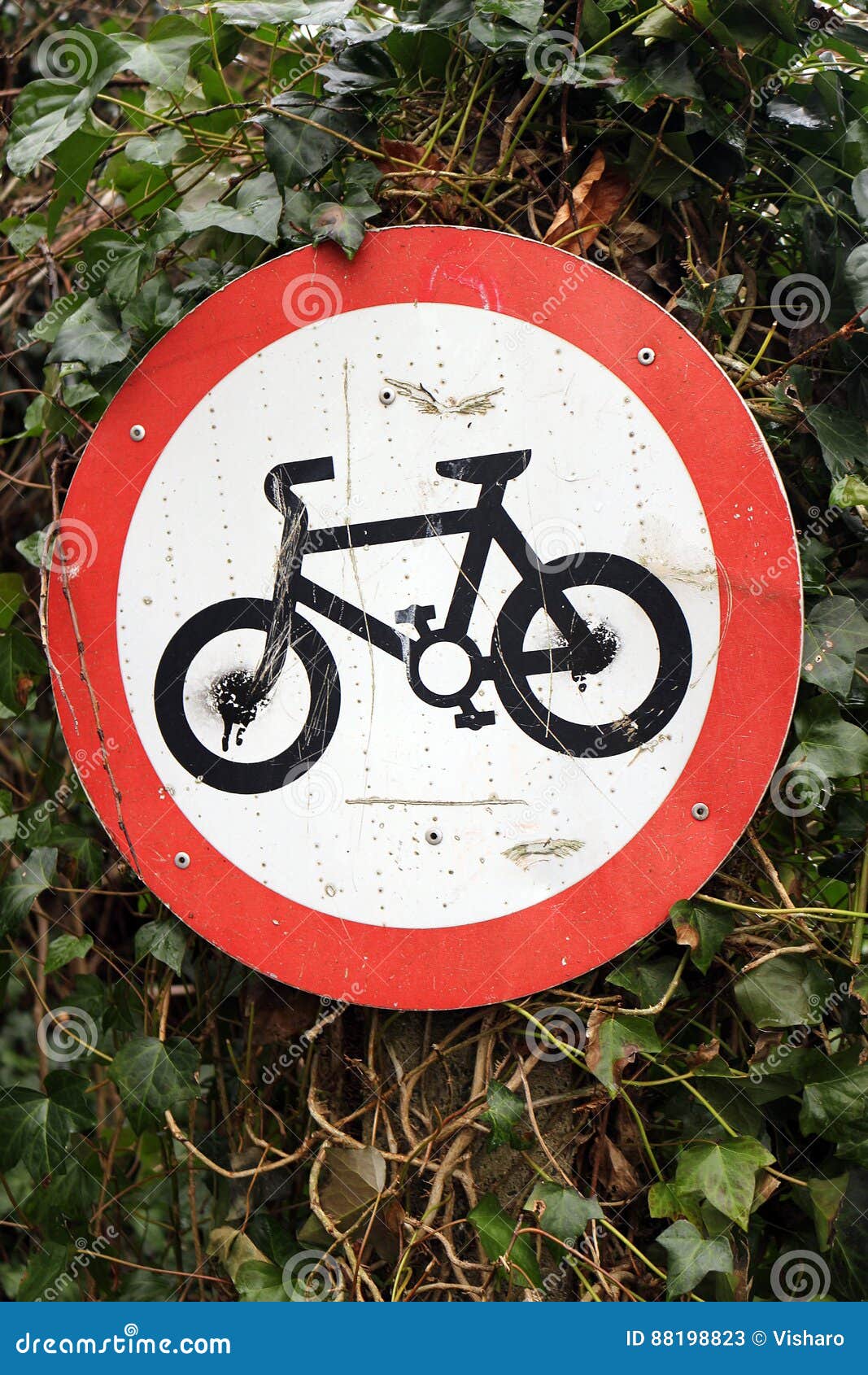 Bicycle Sign stock image. Image of road, bicycle, lane - 88198823