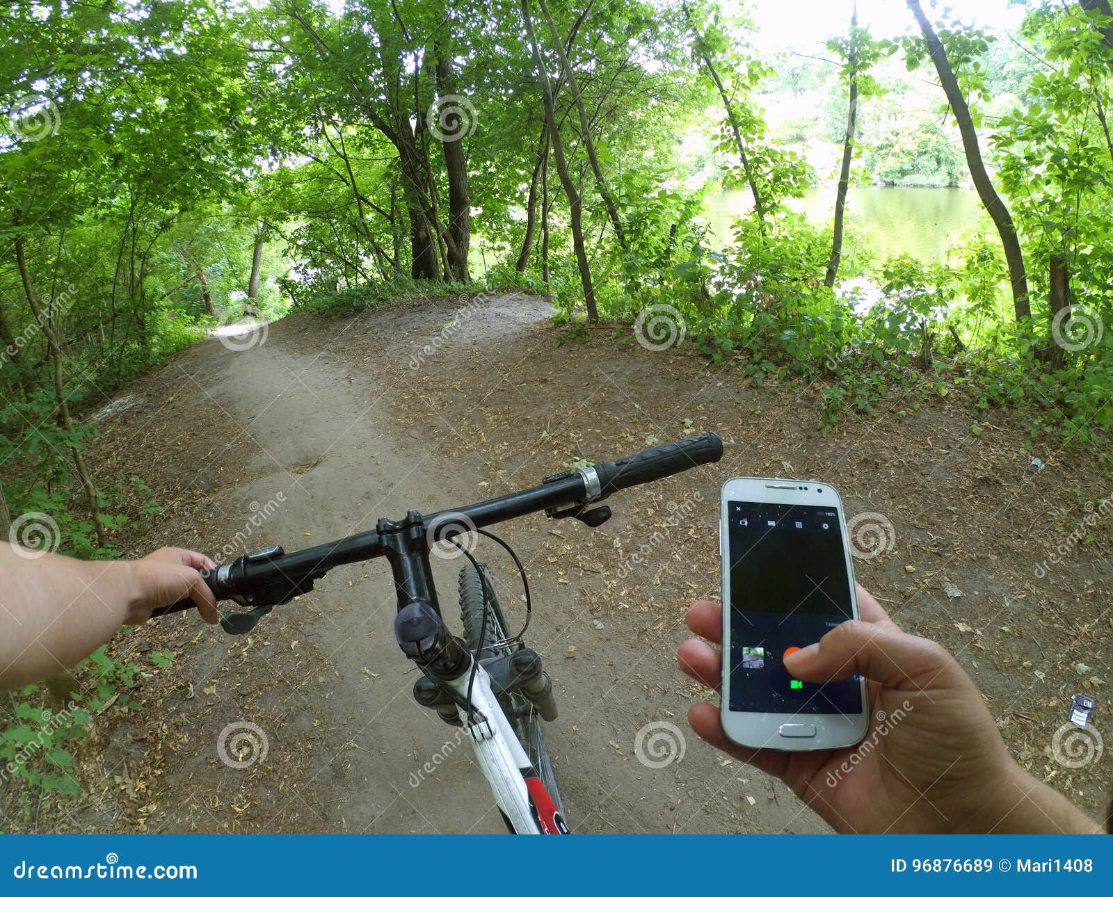 Bicycle Steering Wheel Path Forest Trees Stock Image - Image of copy ...