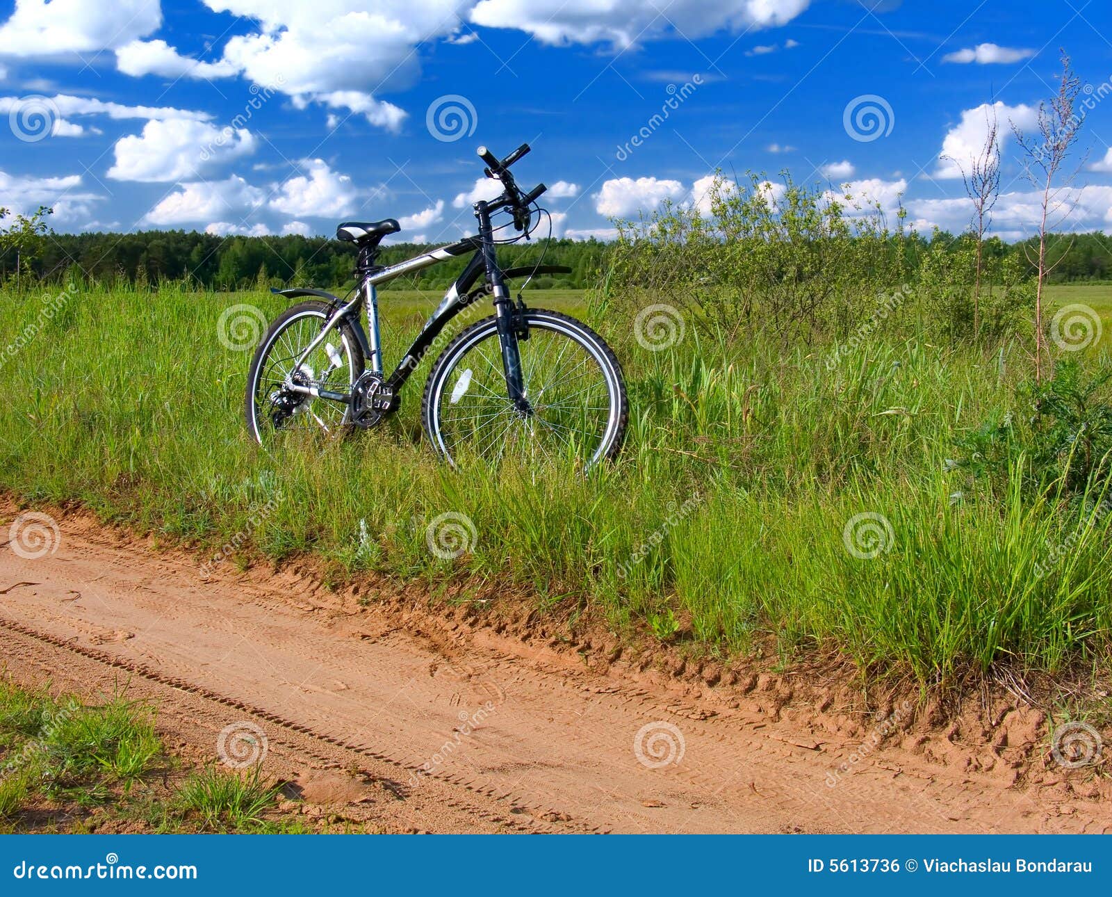 Bicycle in Summer Landscape Stock Photo - Image of pedal, blue: 5613736