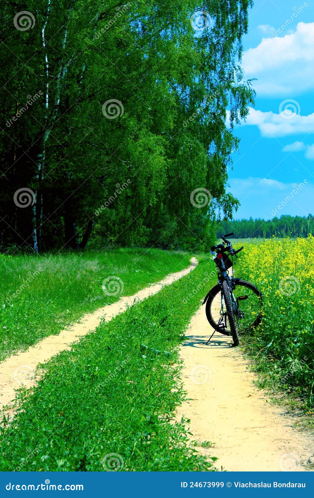 Bicycle in Summer Rural Scene Stock Image - Image of single ...