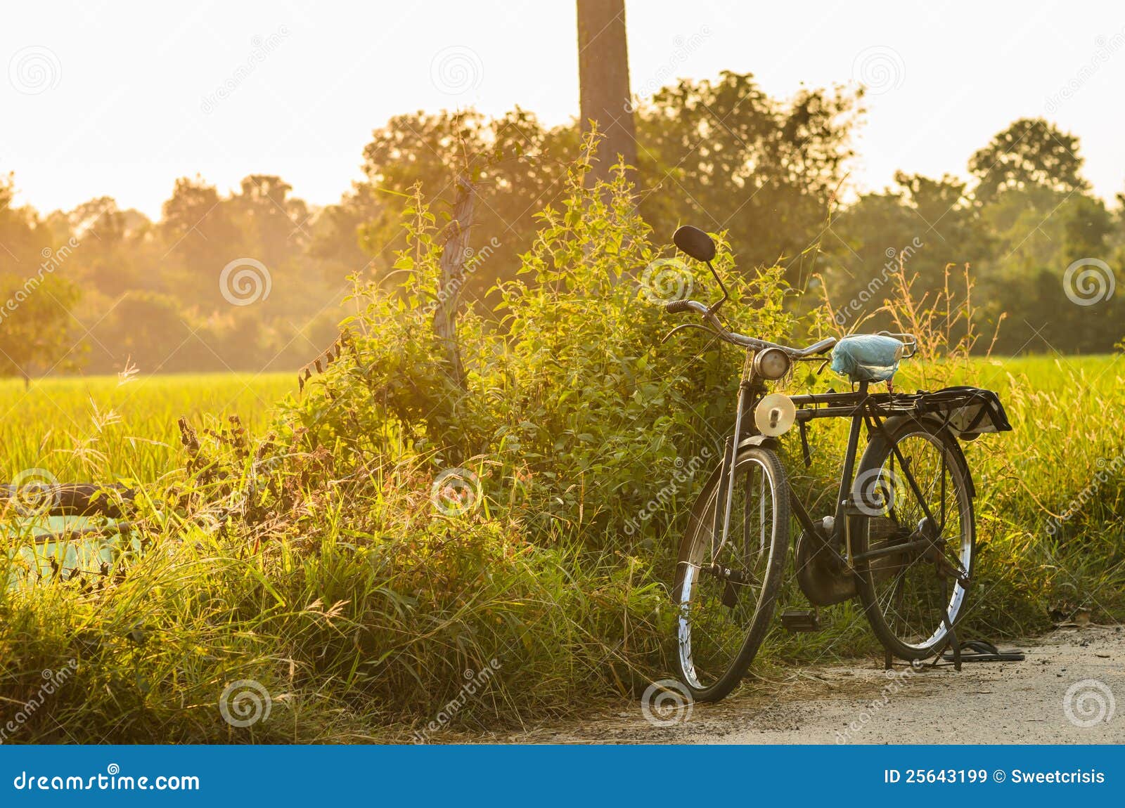 Bicycle at sunny day stock image. Image of outdoors, sports - 25643199