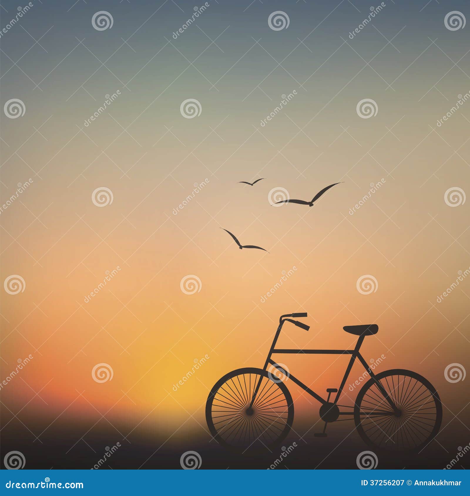 Bicycle at Sunset Background Stock Illustration - Illustration of road ...