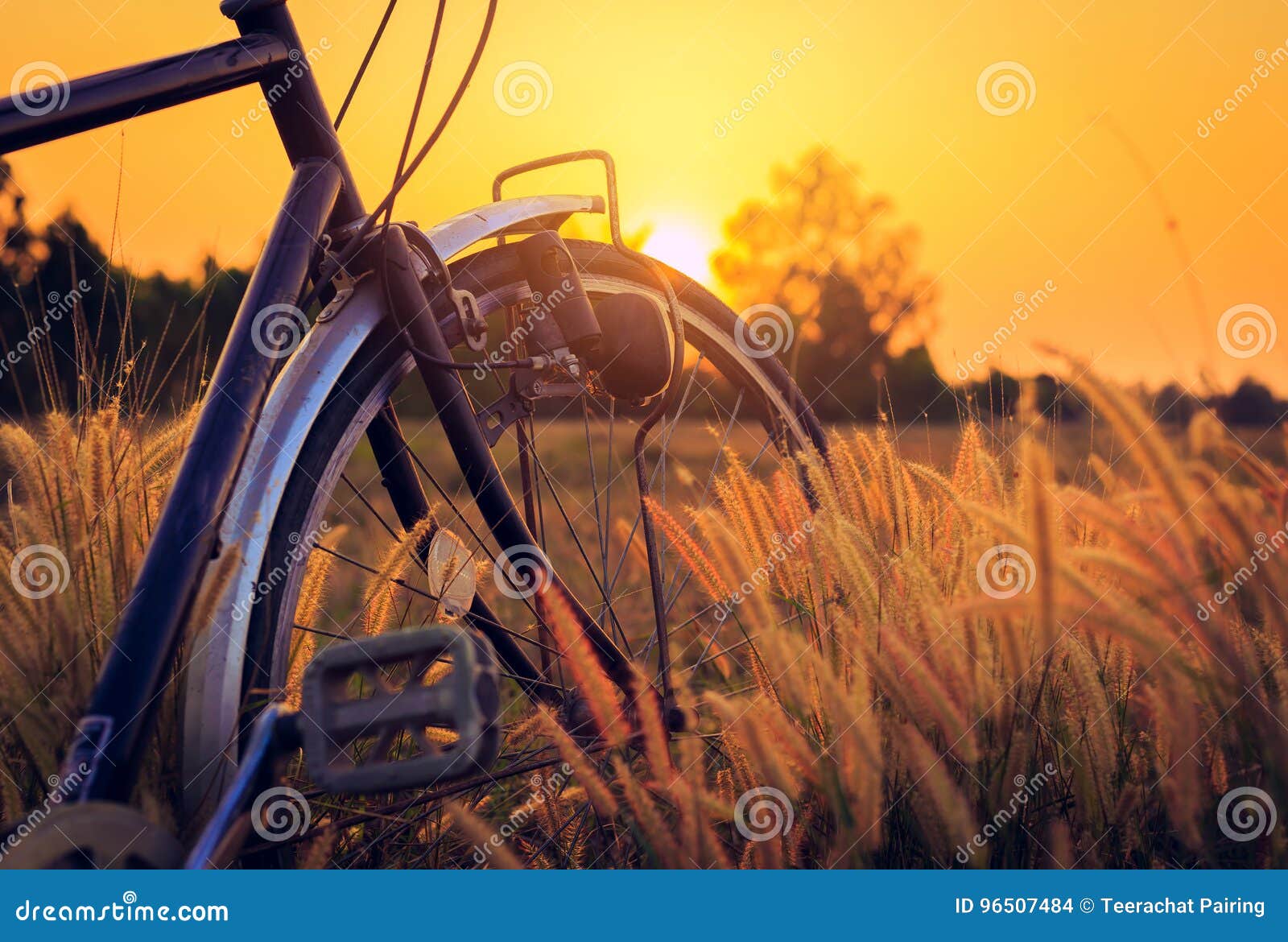 Bicycle at Sunset in the Park. Stock Photo - Image of closeup, green ...