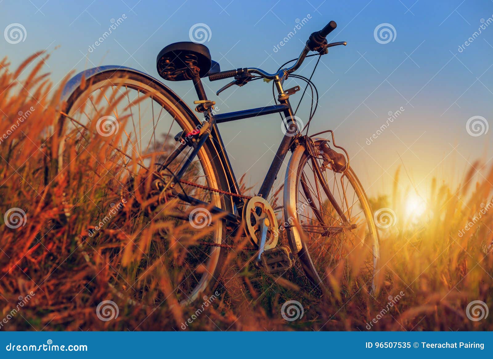 Bicycle at Sunset in the Park. Stock Image - Image of market, holiday ...