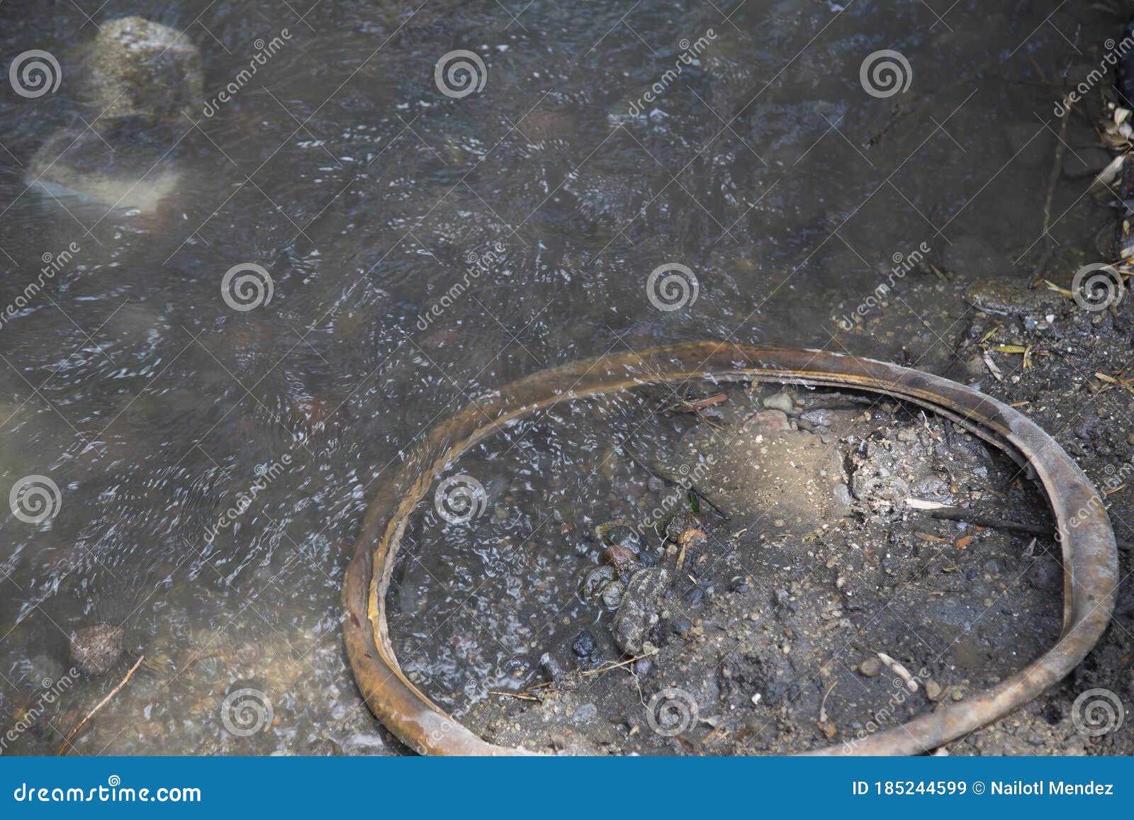 Bicycle Tire Polluting River Stock Image - Image of cycle, rusted ...
