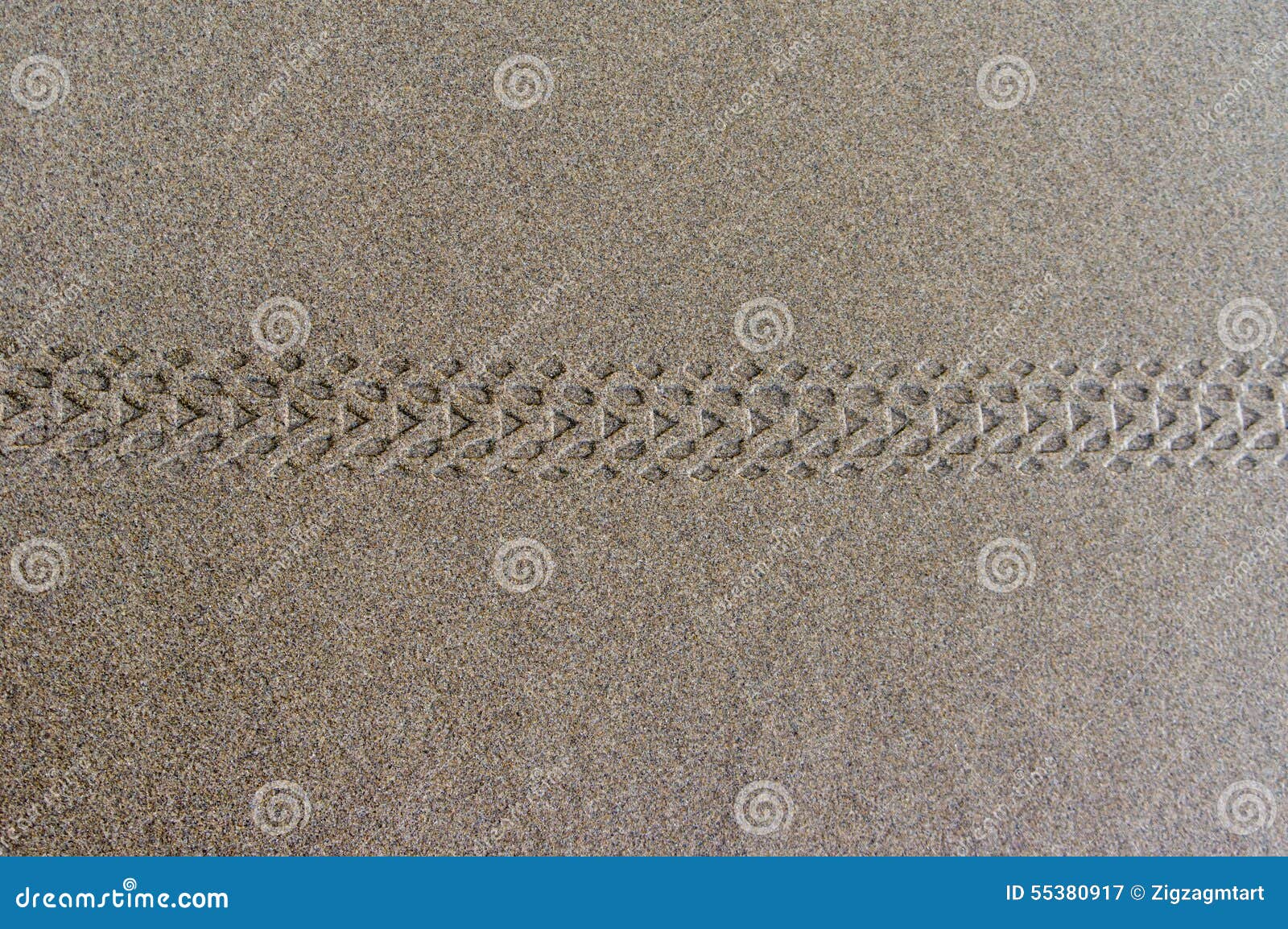 Bicycle Tire Tracks in Wet Sand Stock Image - Image of landscape, sandy ...