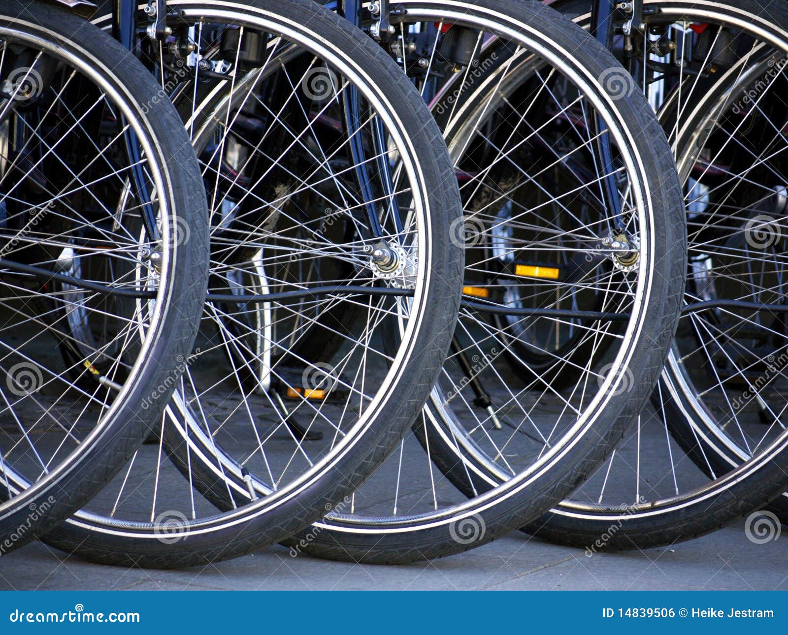 Bicycle tires stock photo. Image of tyres, tyre, bicycle - 14839506