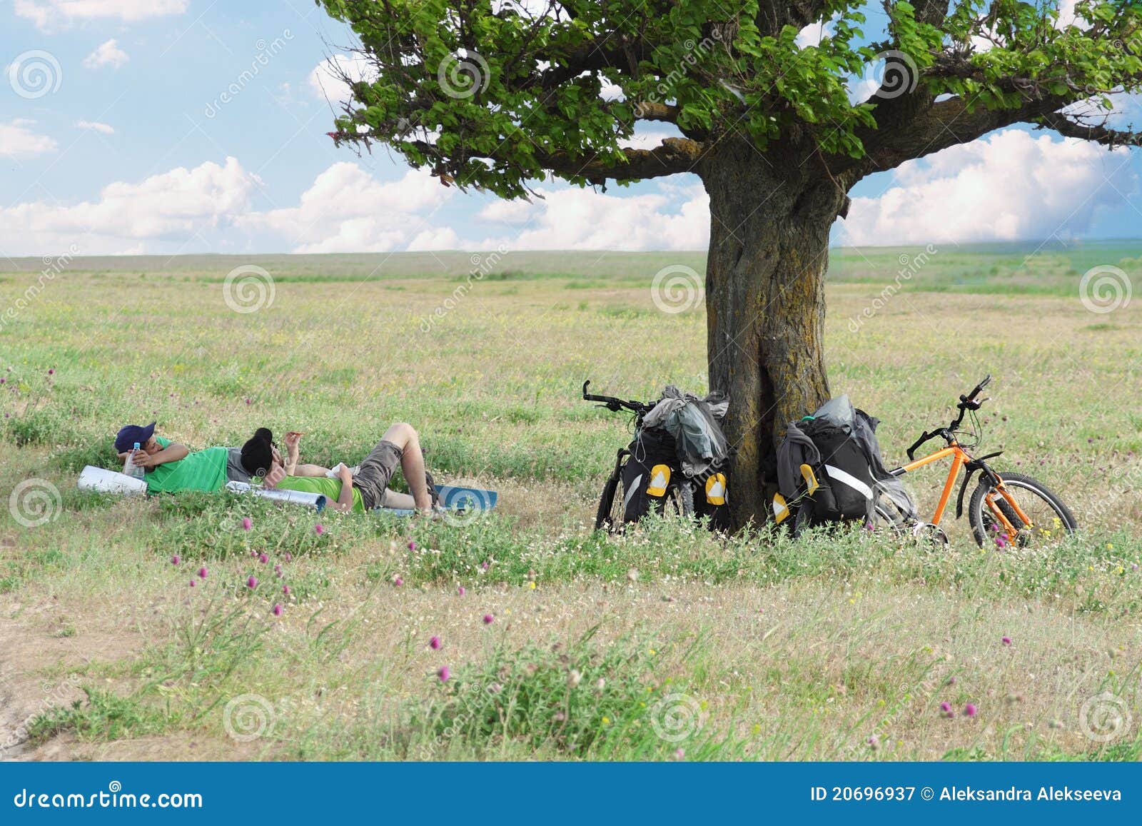 Bicycle Tourists Resting Near Tree Stock Image - Image of season ...