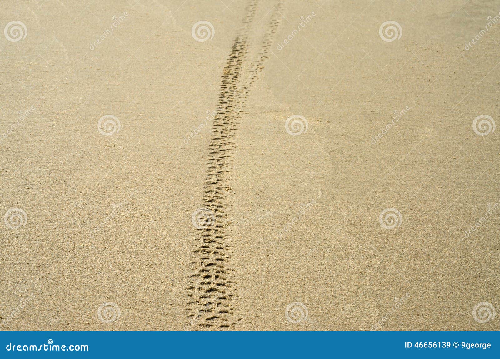 Bicycle Trace Tracks on Sand Stock Image - Image of pattern, mark: 46656139