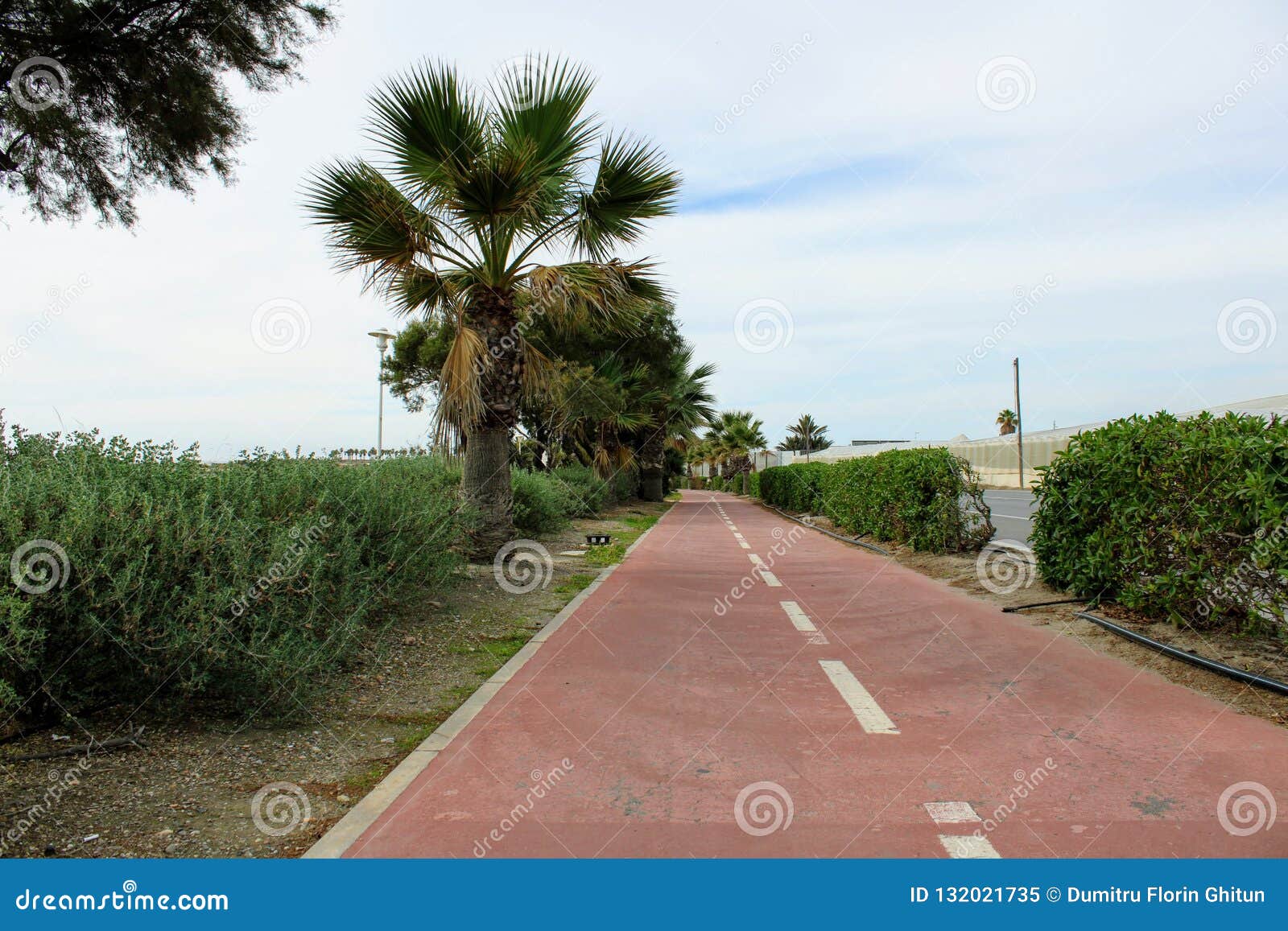 Bicycle track on the side stock image. Image of outdoor - 132021735