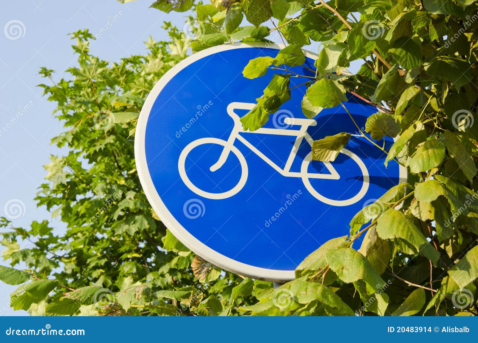 Bicycle Track Sign and Tree Leafs Stock Photo - Image of plant ...