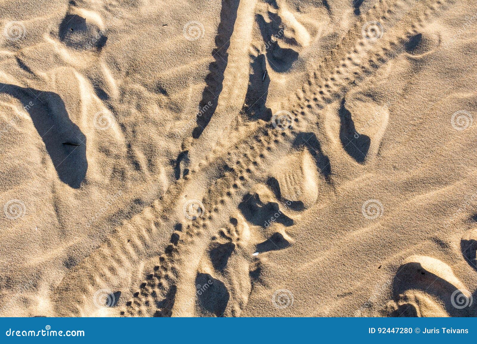 Bicycle Tracks on a Sand in Summer Stock Photo - Image of vehicle ...