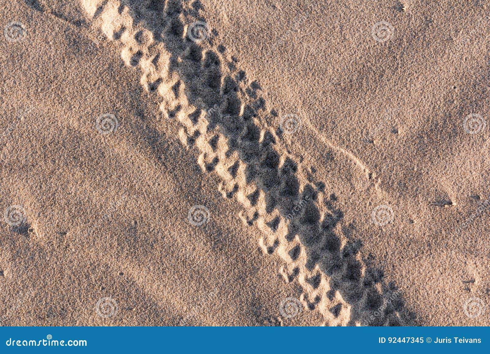 Bicycle Tracks on a Sand in Summer Stock Image - Image of dirt, sand ...