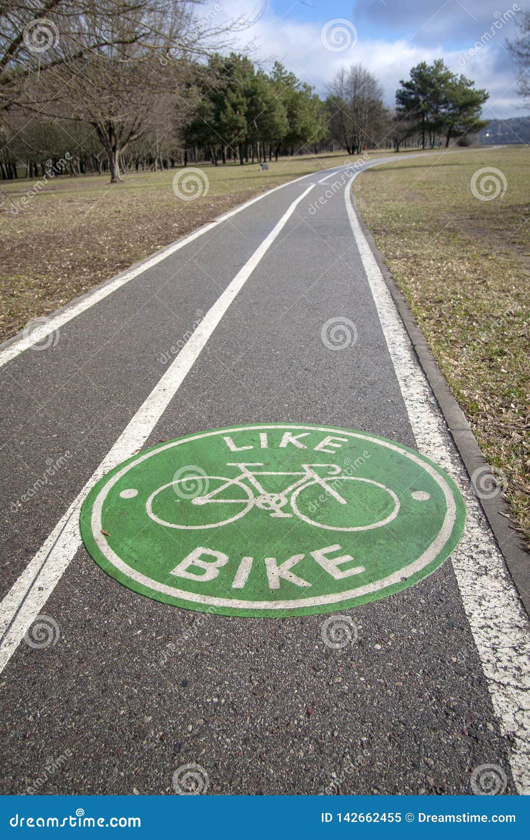 Bicycle Path between Trees by the River Stock Image - Image of road ...