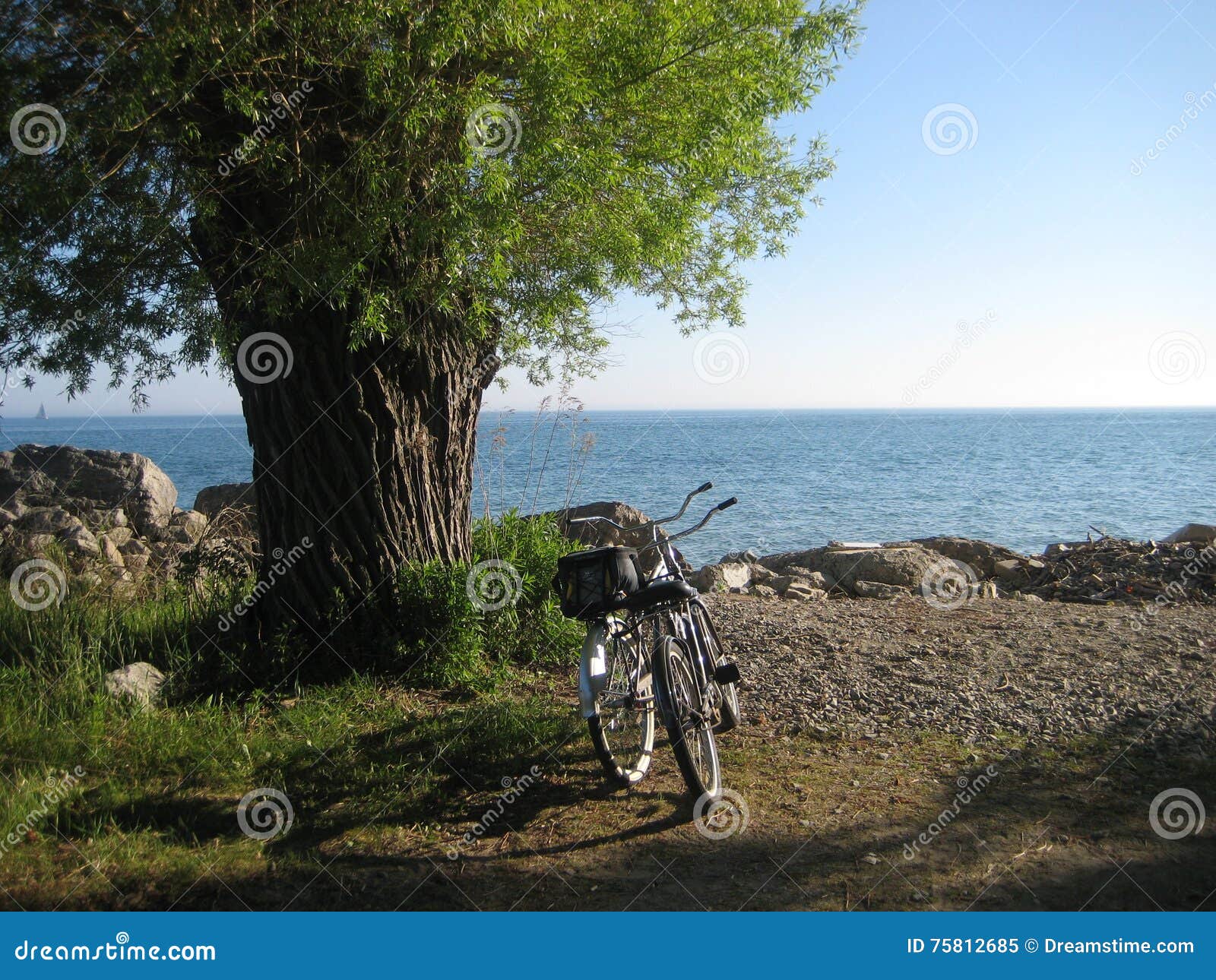 Bicycle and tree stock image. Image of ride, clear, boats - 75812685