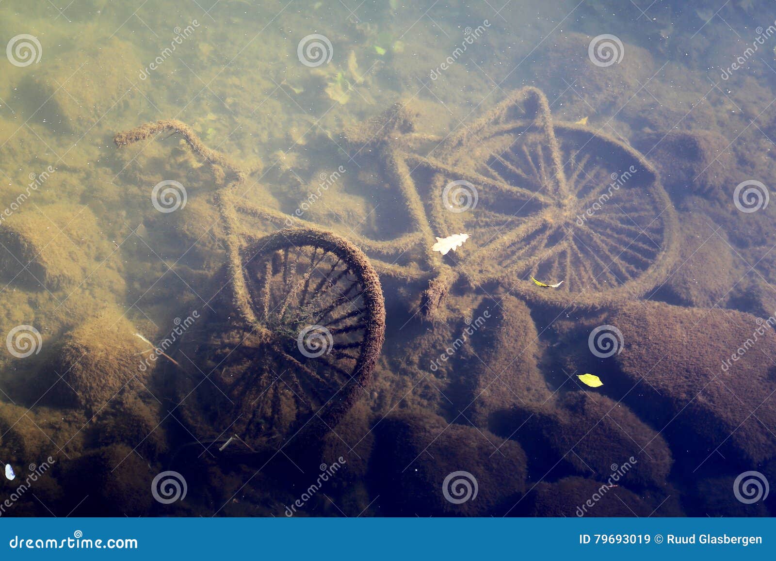 Bicycle underwater stock image. Image of ride, bicycle - 79693019