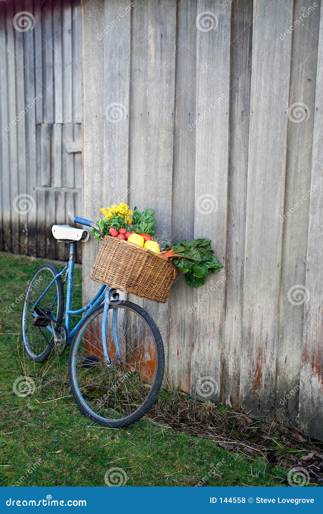 Bicycle and Vegetables stock photo. Image of farm, barn - 144558