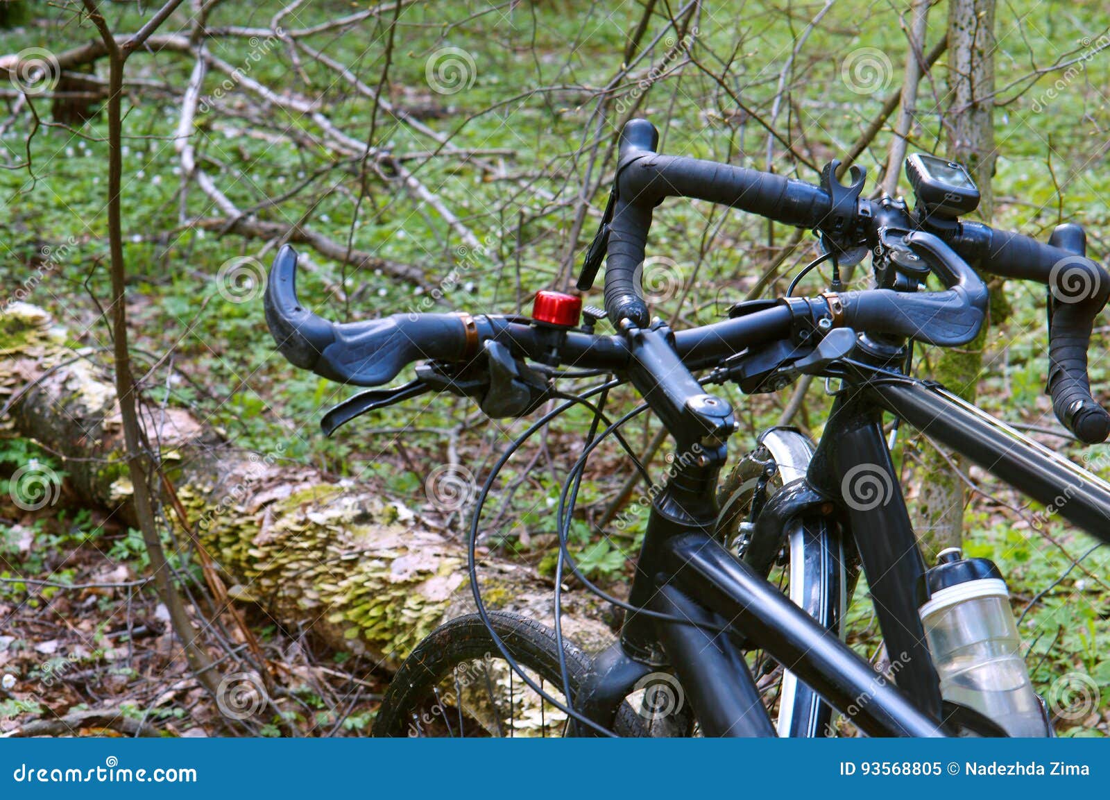 Bicycle, Veloplasty, Walk, Forest, Spring, Two Bicycles, Spring, Forest ...