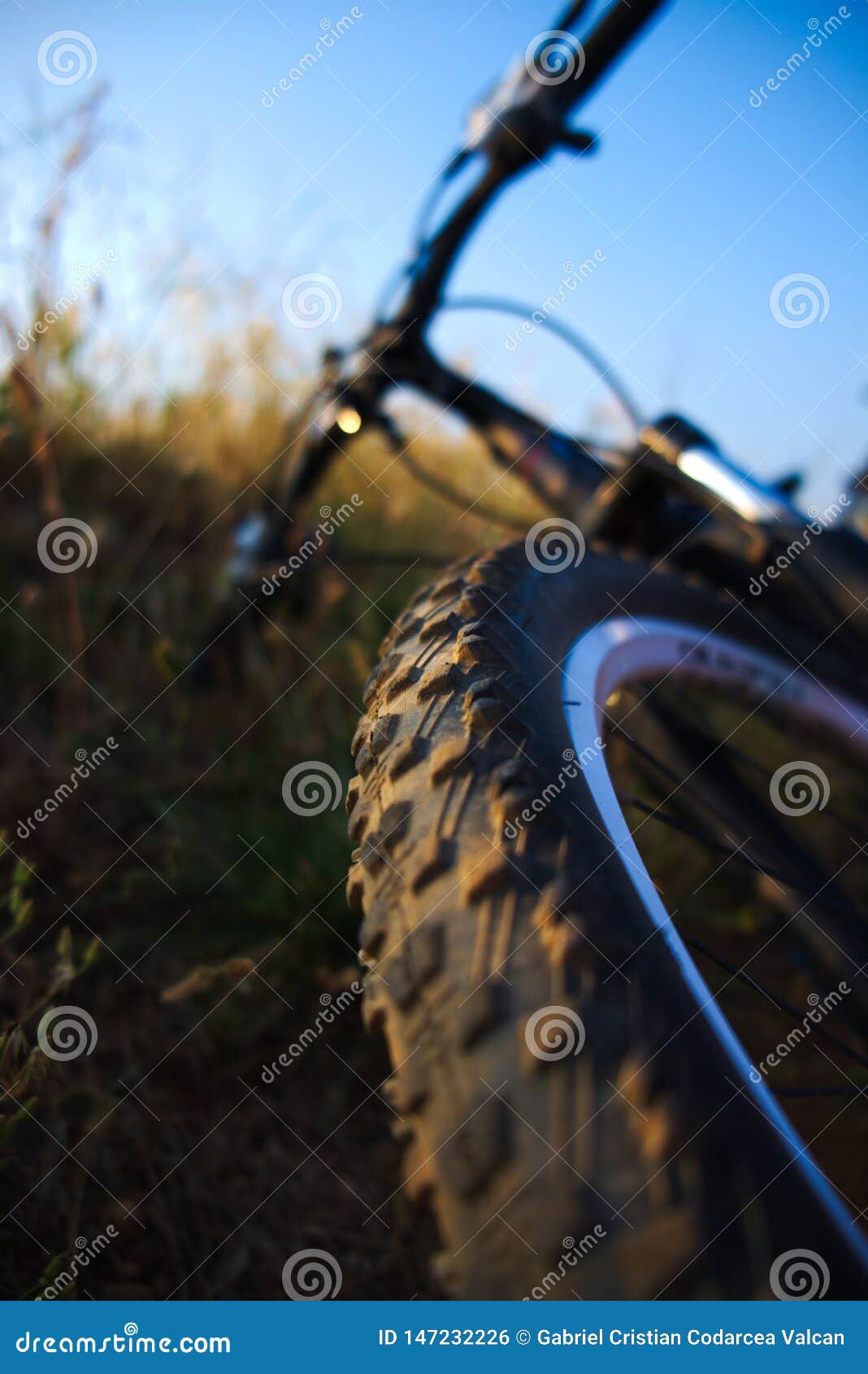 Bicycle View from Wheel Perspective Stock Photo - Image of perspective ...