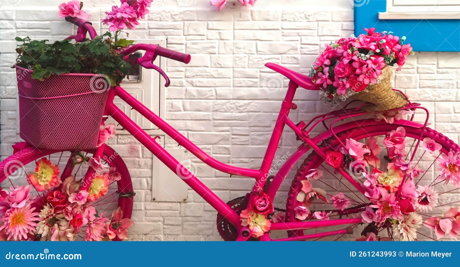 Pink Vintage Bicycle with Flowers Stock Image - Image of decent, bike ...