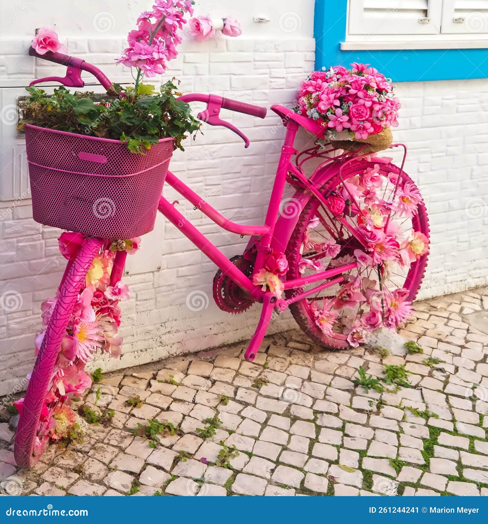 Pink Vintage Bicycle with Flowers Stock Image - Image of ranunculus ...