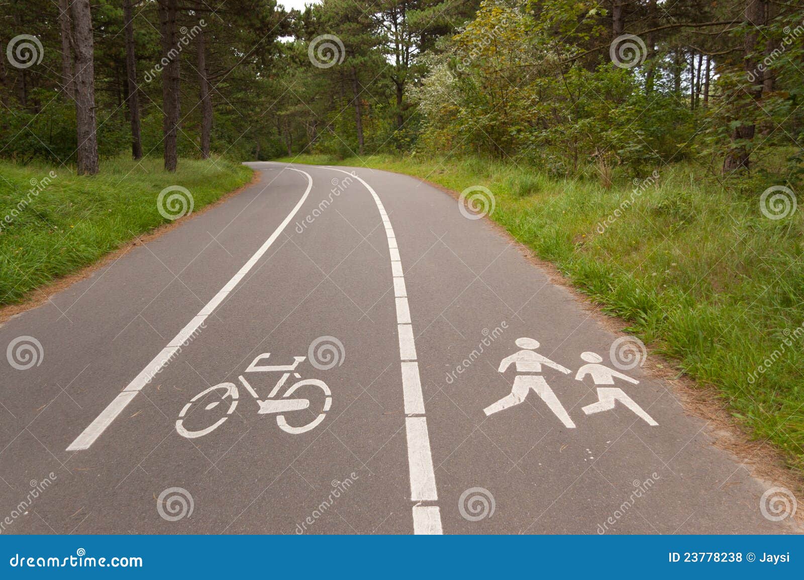Bicycle and Walking Lane in Forest Stock Photo - Image of exercise ...