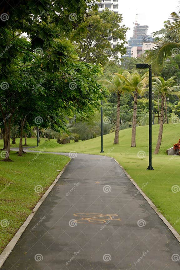 Bicycle way ahead stock image. Image of outdoor, light - 2681707