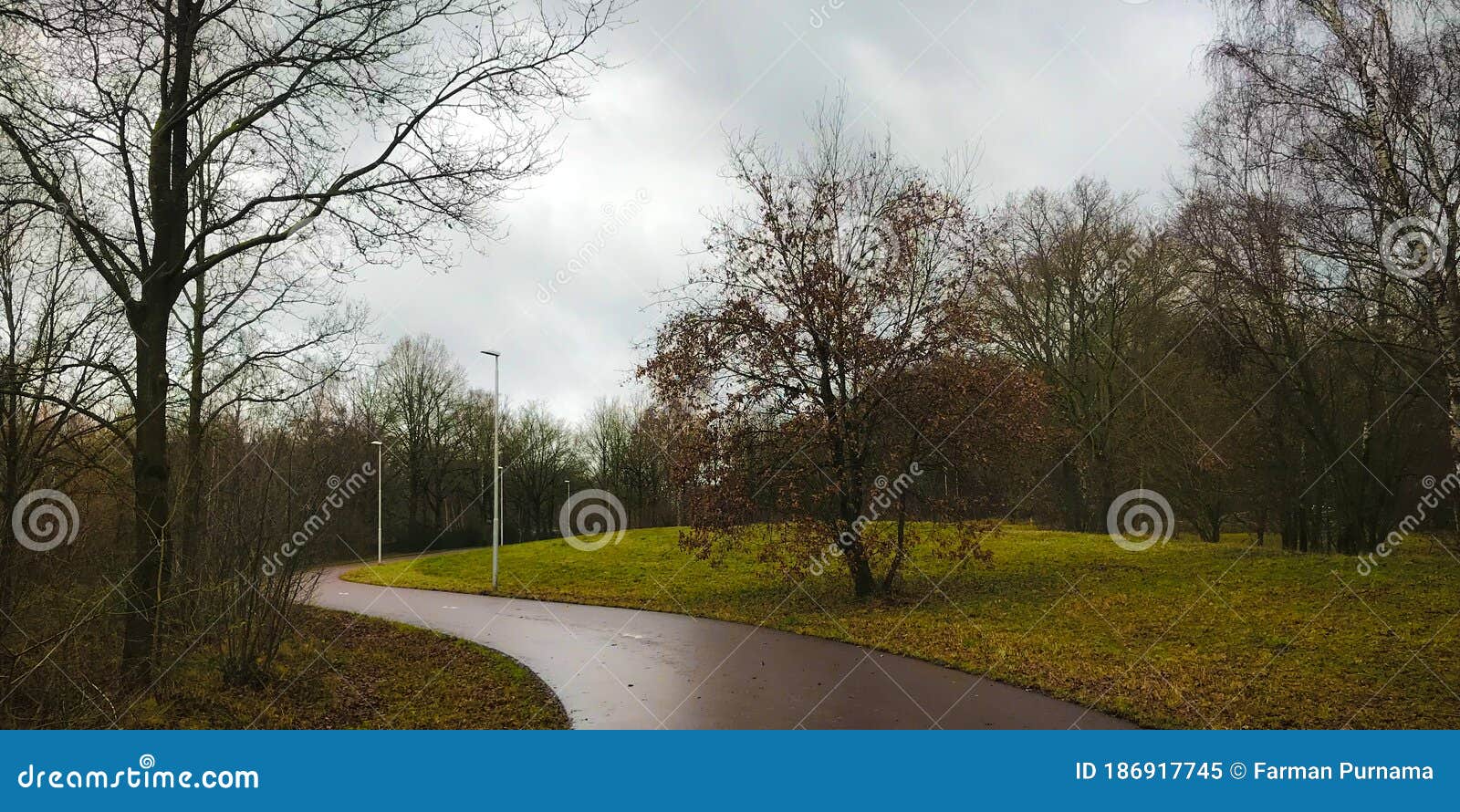 A Long and Winding Path stock image. Image of wood, long - 186917745