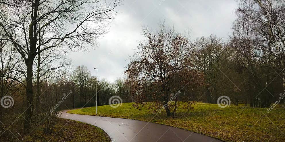 A Long and Winding Path stock image. Image of wood, long - 186917745