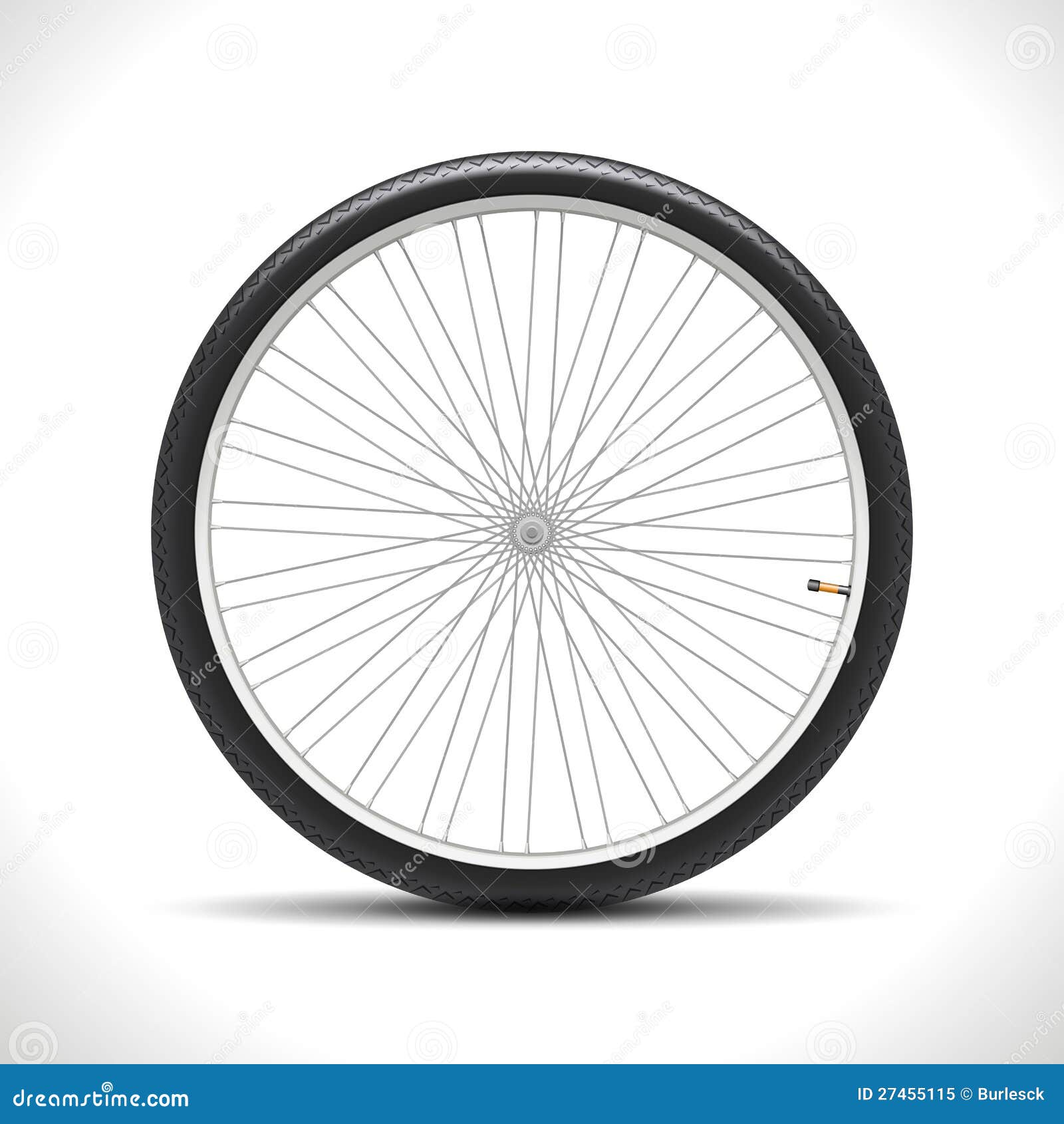 Bicycle Wheel stock vector. Illustration of bike, white - 27455115