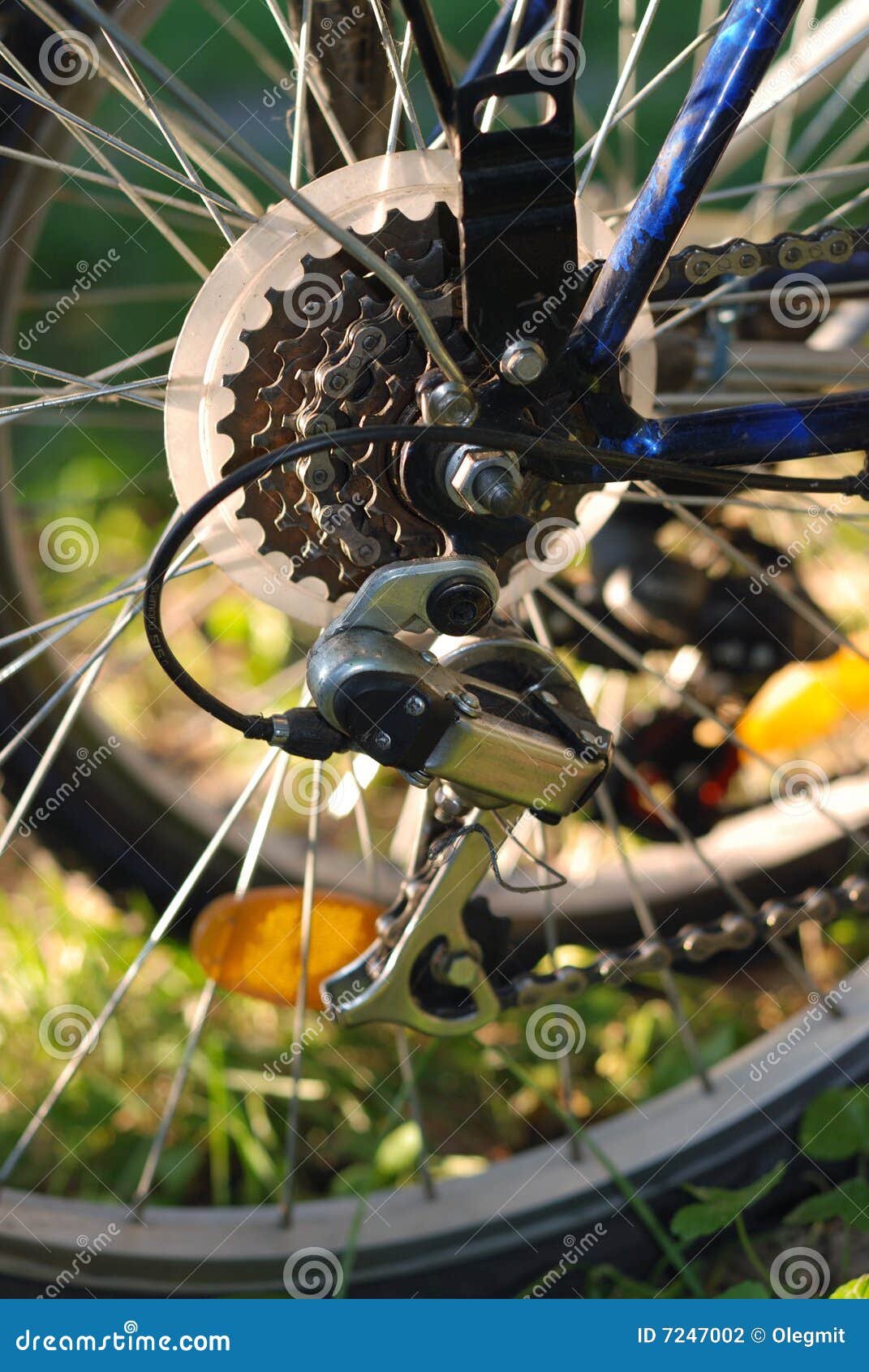Bicycle Wheel with Details, Close-up Stock Photo - Image of lever ...
