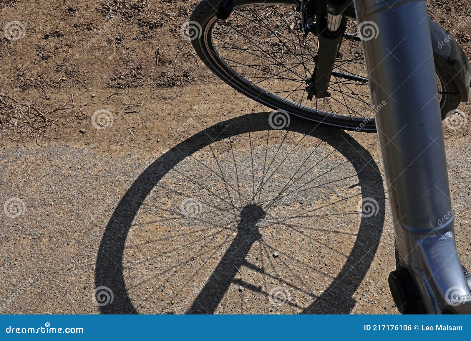 Bicycle Wheel and Its Shadow on the Asphalt Stock Photo - Image of ...