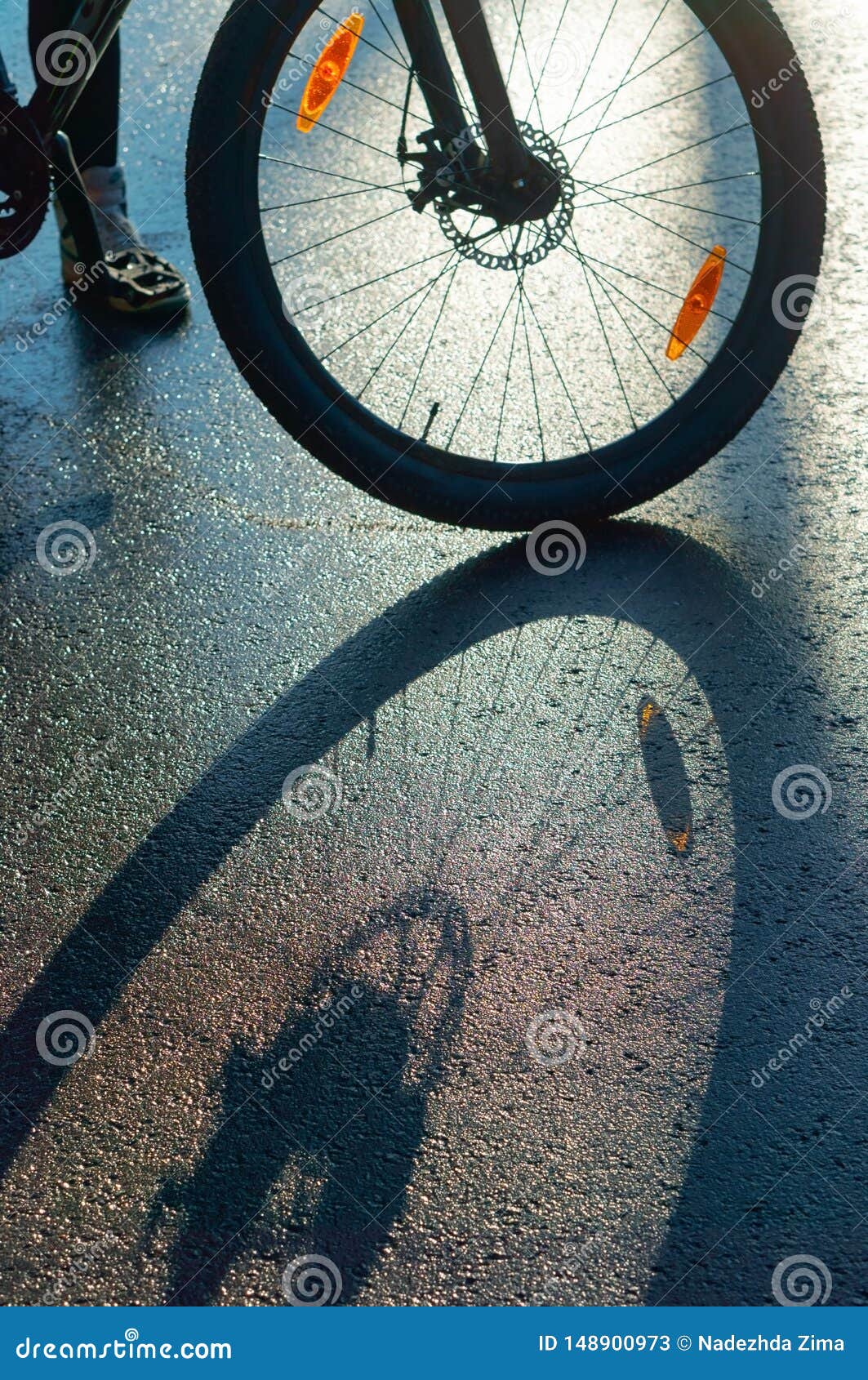 A Bicycle Wheel on the Pavement, Shadow of Bicycle on the Road Stock ...