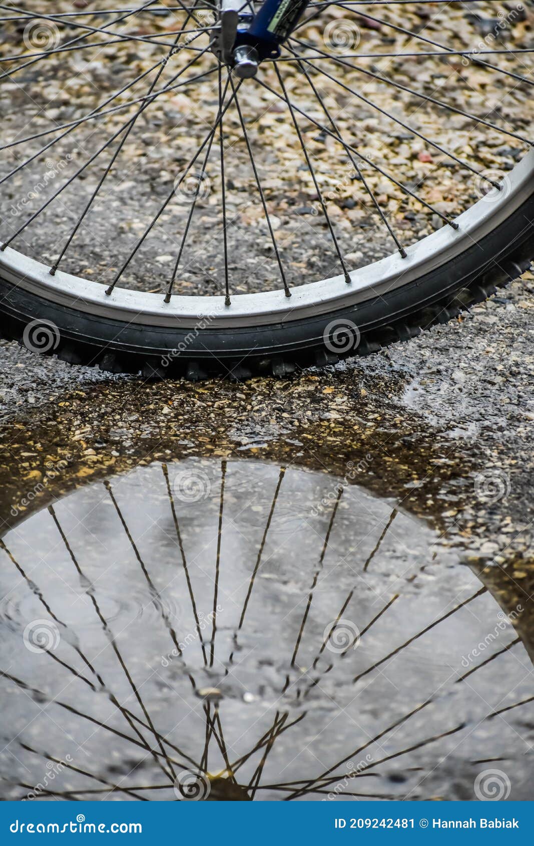 Bicycle Wheel with Reflection in Rain Puddle Stock Image - Image of ...