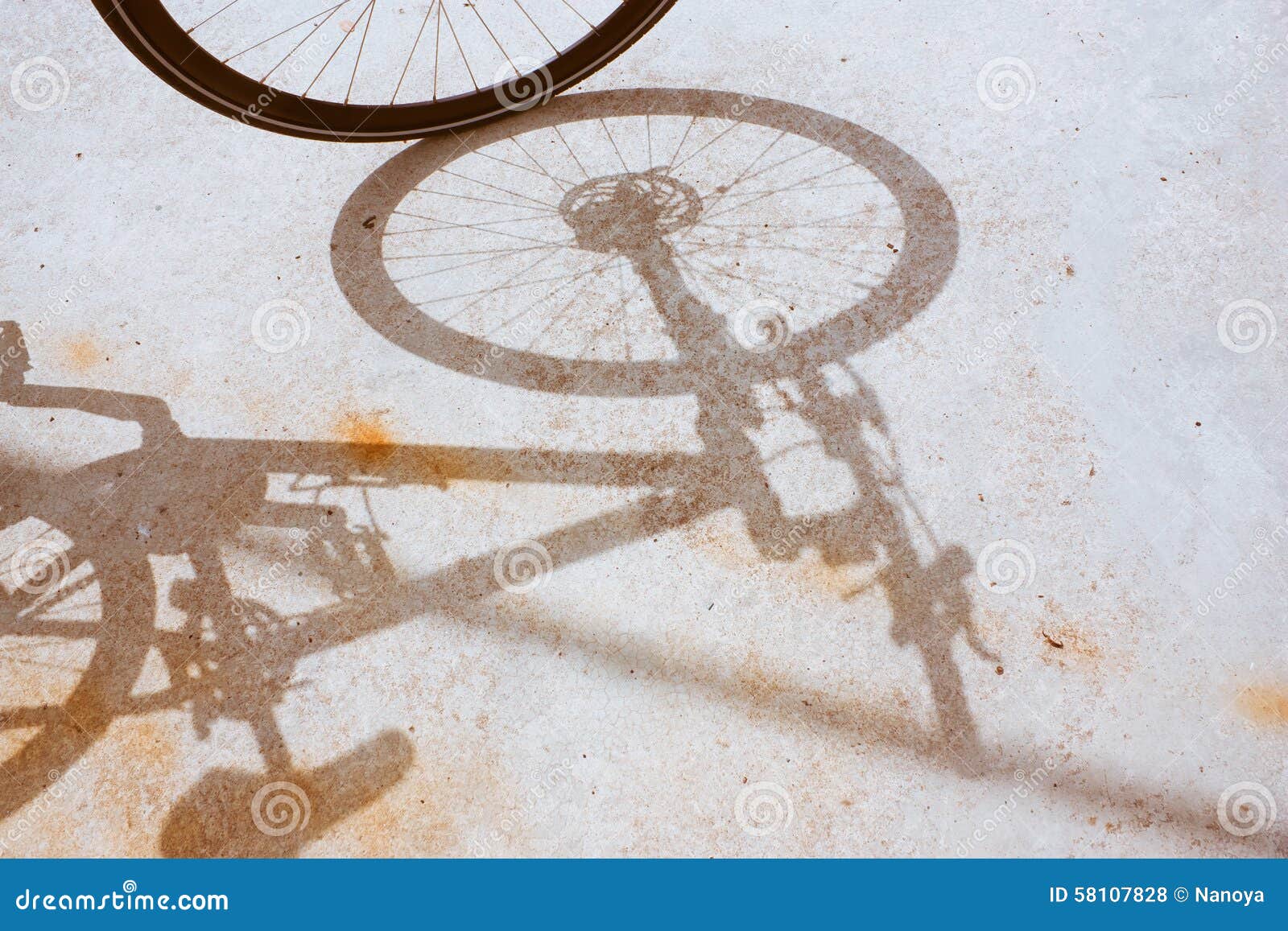 Bicycle wheel and shadow stock photo. Image of transport - 58107828