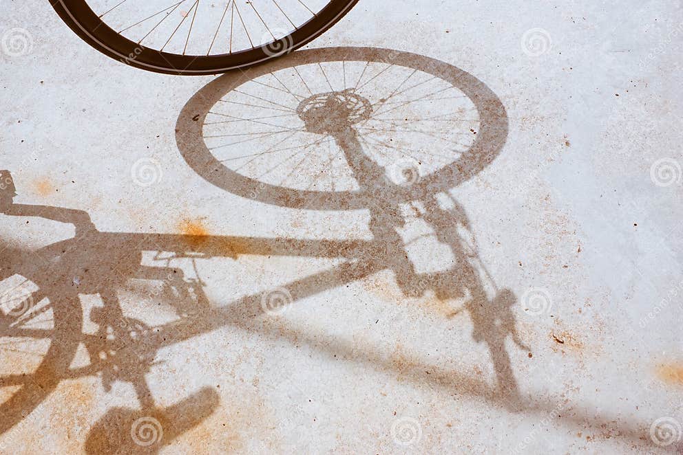 Bicycle wheel and shadow stock photo. Image of transport - 58107828