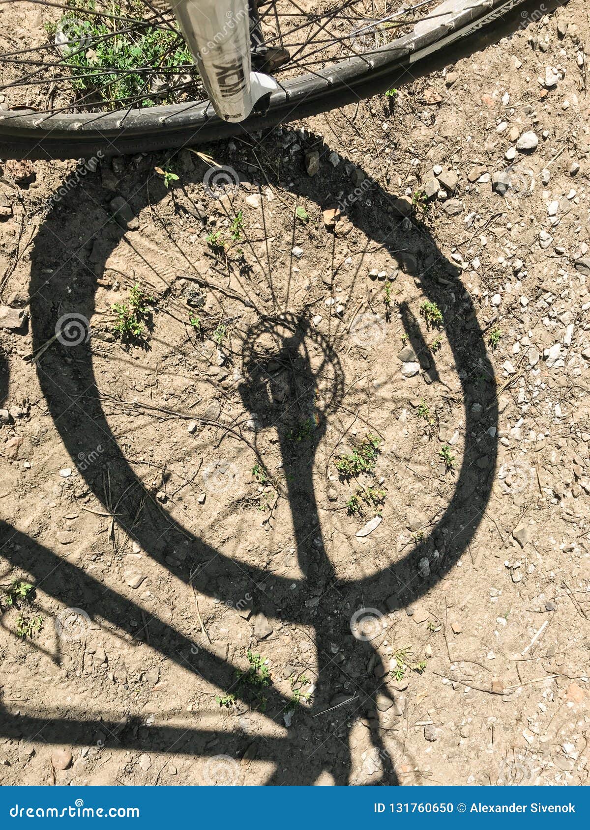 Bicycle wheel shadow editorial image. Image of sunny - 131760650