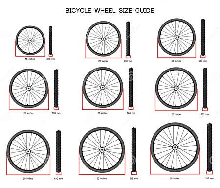Bicycle Wheel Sizes Guide, Vector Illustration Stock Vector ...