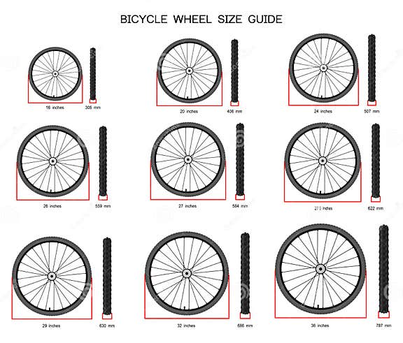 Bicycle Wheel Sizes Guide, Vector Illustration Stock Vector ...