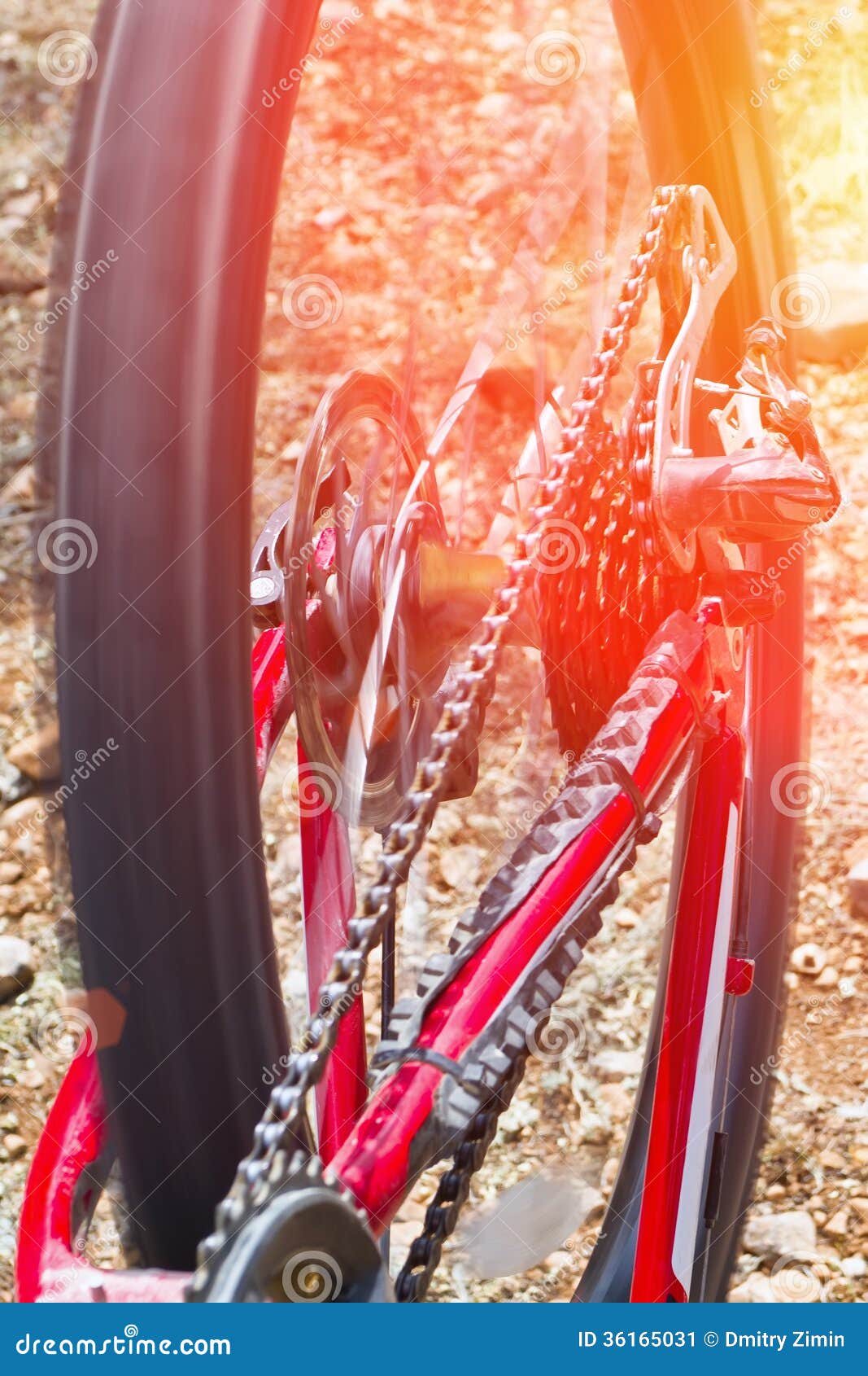 Bicycle wheel stock image. Image of bike, offroad, ride - 36165031