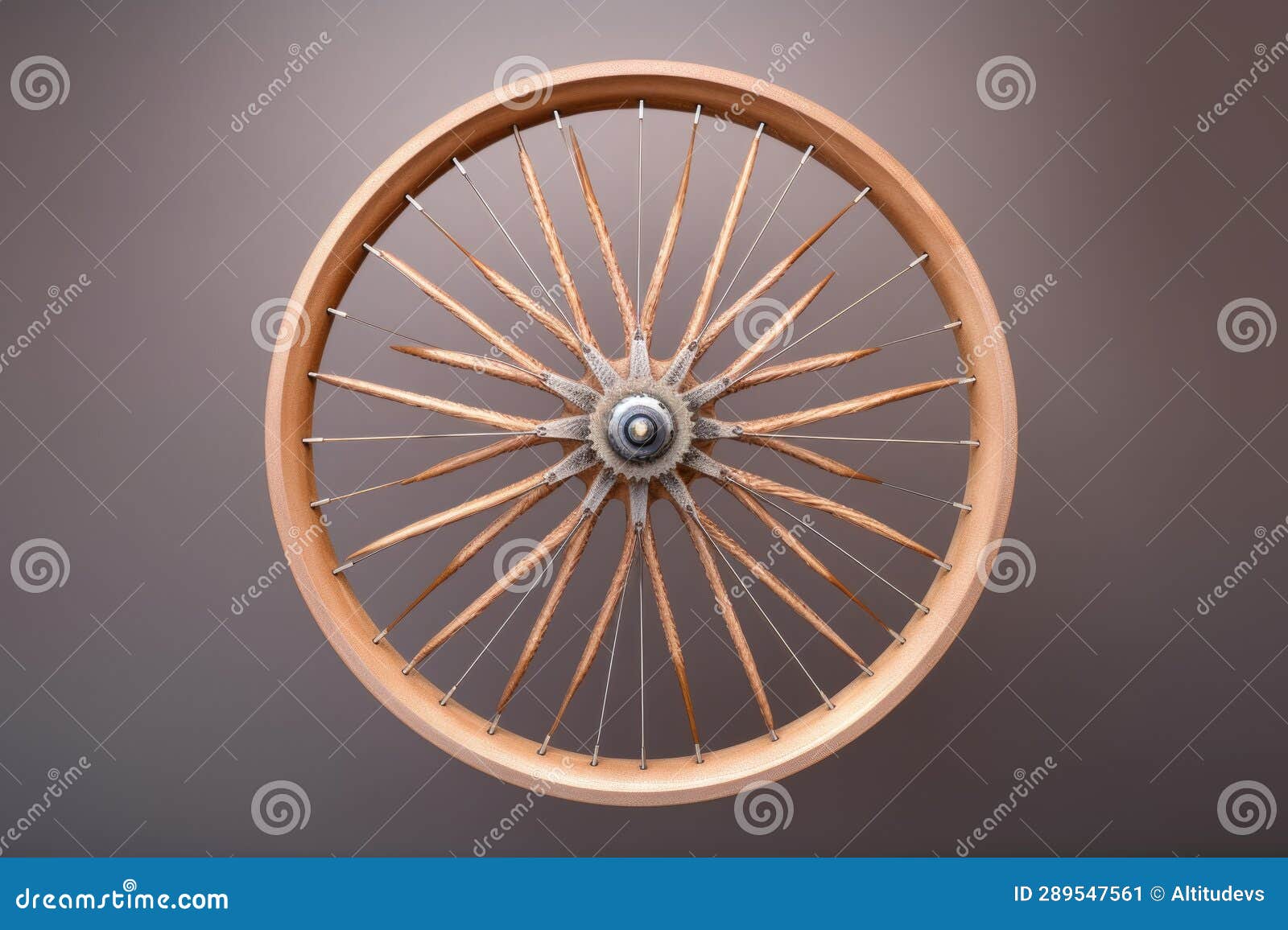 Bicycle Wheel with Spokes and Hub, Isolated Stock Image - Image of ...