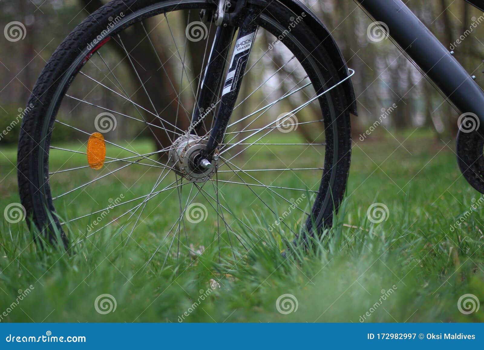Bicycle Wheel in the Spring Grass Stock Image - Image of closeup ...