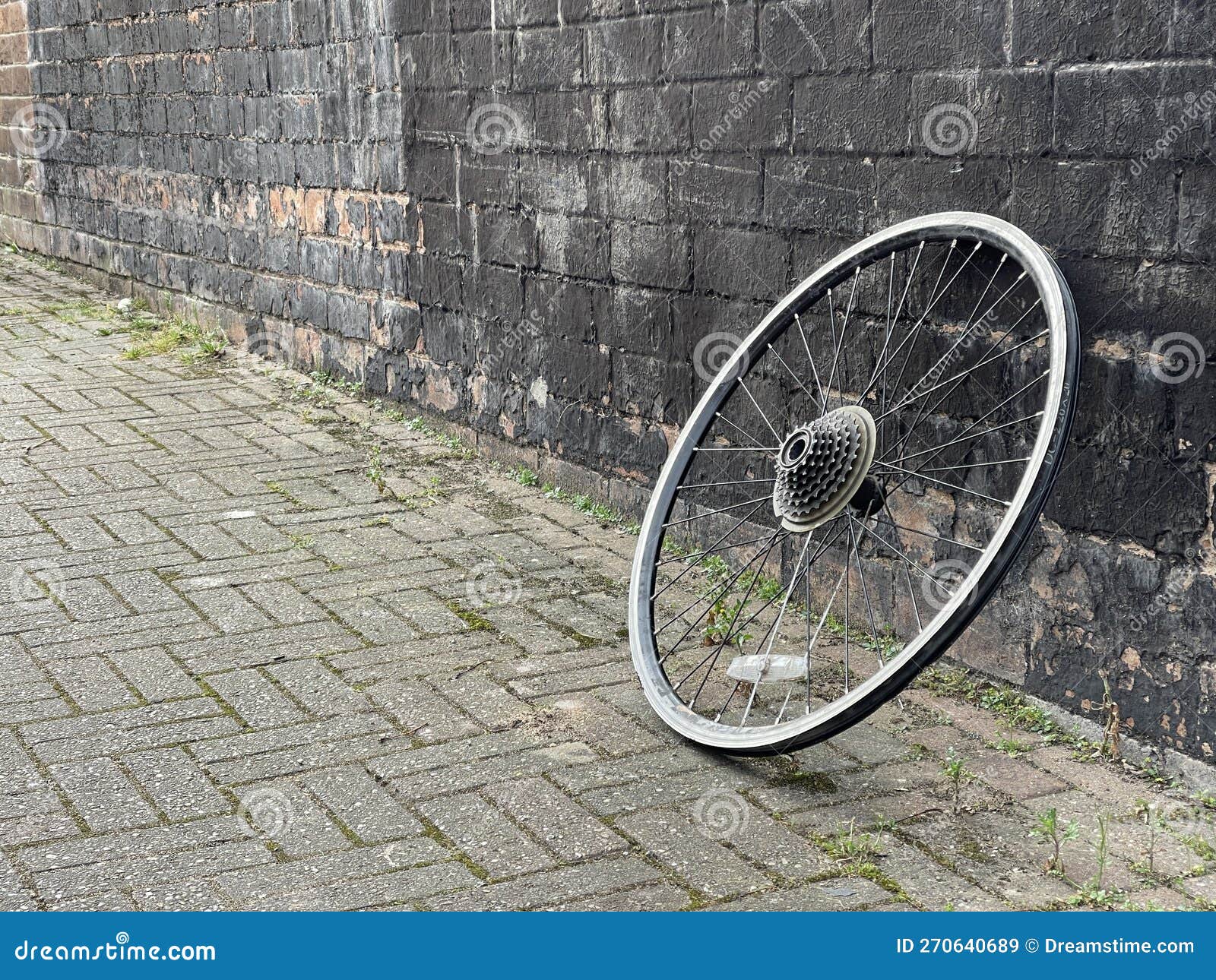 Bicycle Wheel without a Tire Near Brick Wall Stock Image - Image of ...