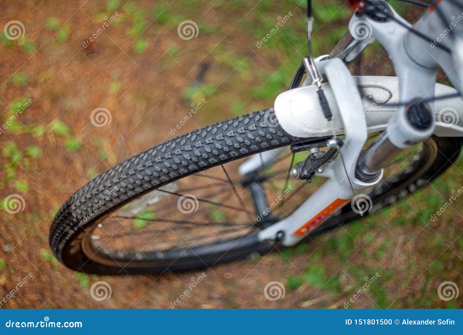 Bicycle Wheel with Treads on a Blurred Background of Grass Stock Photo ...