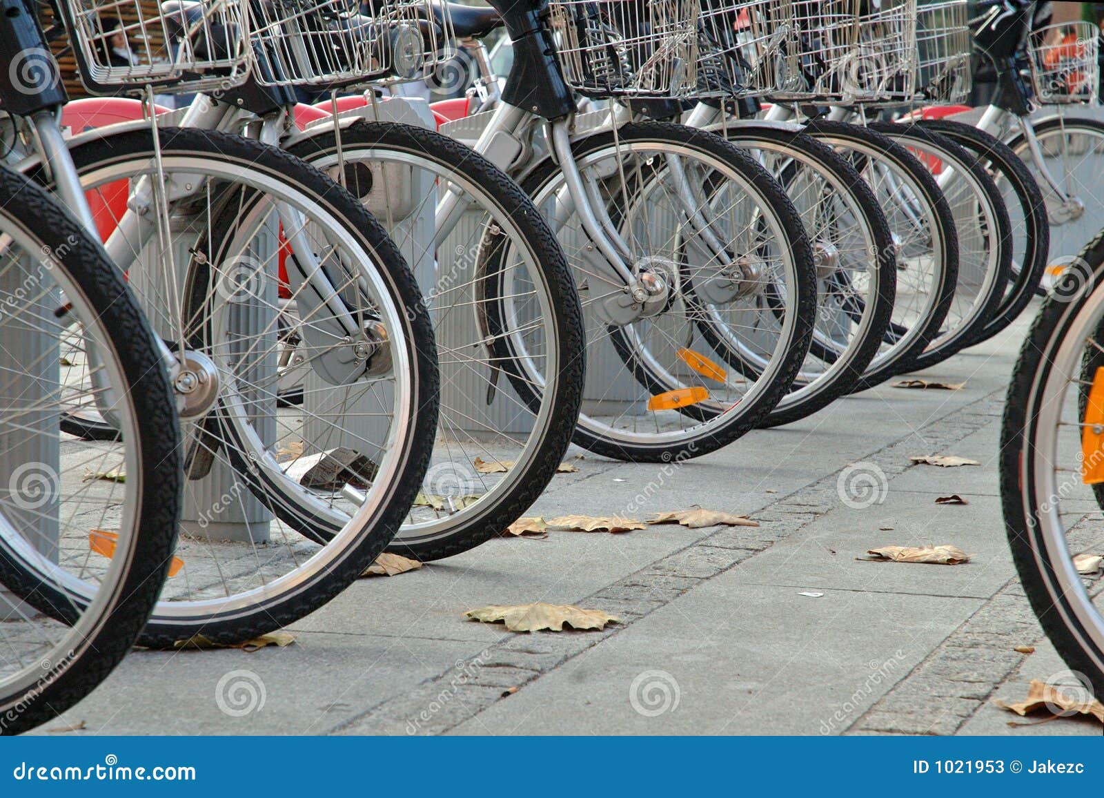 Bicycle wheels stock image. Image of round, pedal, city - 1021953