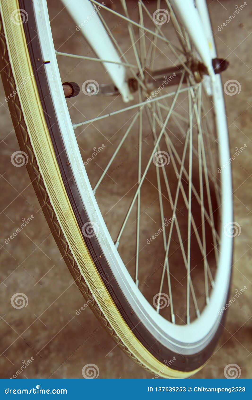 Bicycle Wheels the Spinning Sport Stock Image - Image of health, detail ...