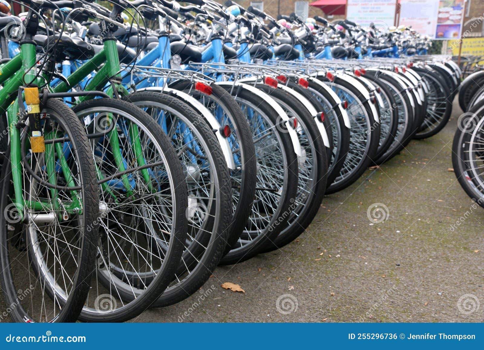 Bicycles in a Line for Rent Stock Photo - Image of wheels, wheel: 255296736