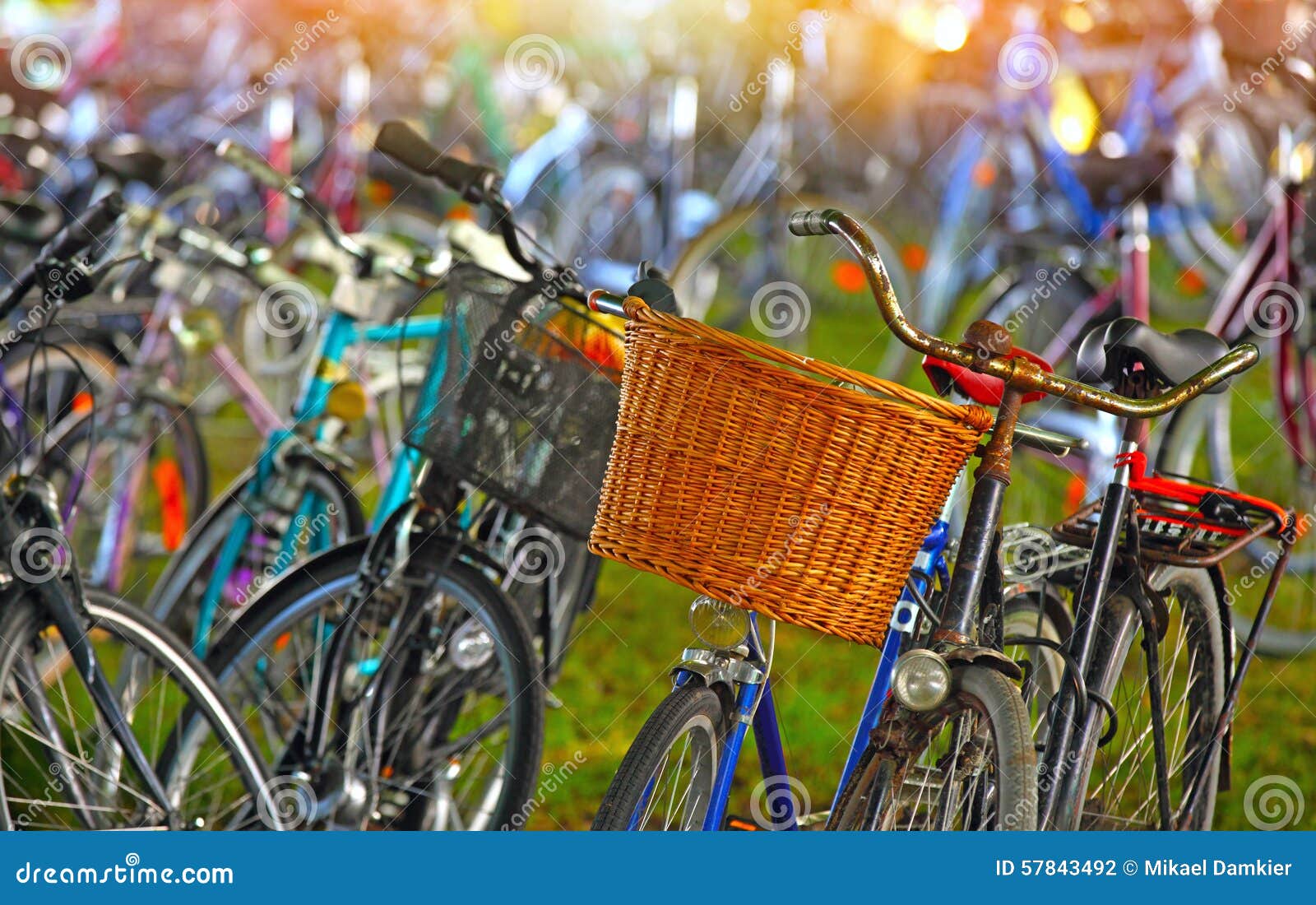 Bicycles parking lot stock photo. Image of frame, bike - 57843492