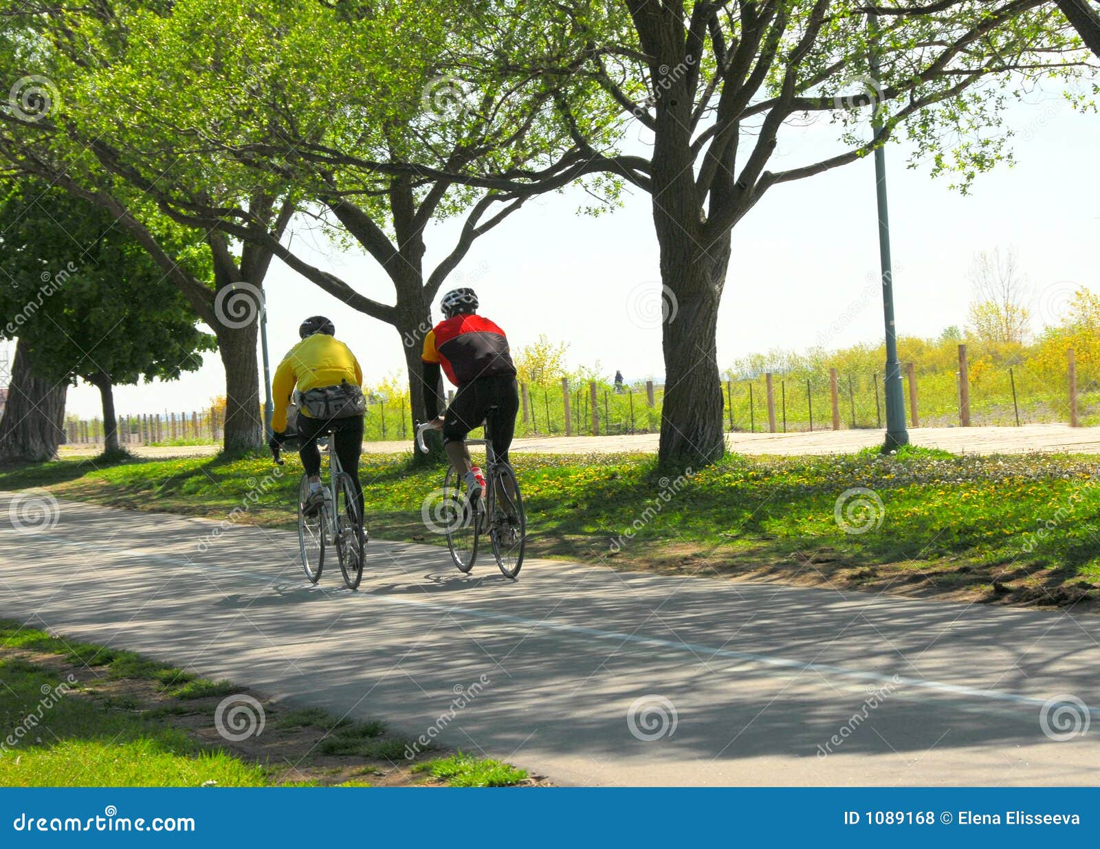 Bicycling in a park stock photo. Image of lifestyle, green - 1089168