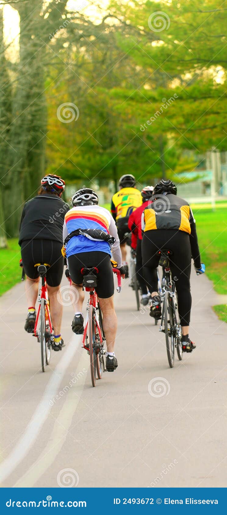 Bicyclist stock photo. Image of activity, outdoors, bicycle - 2493672